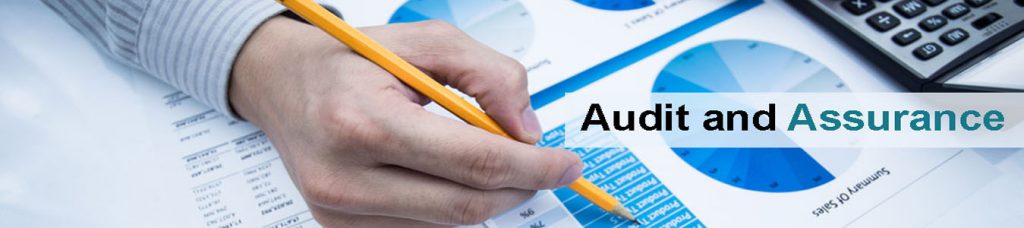Auditing & Assurance Services | VenugopalanandAssociates